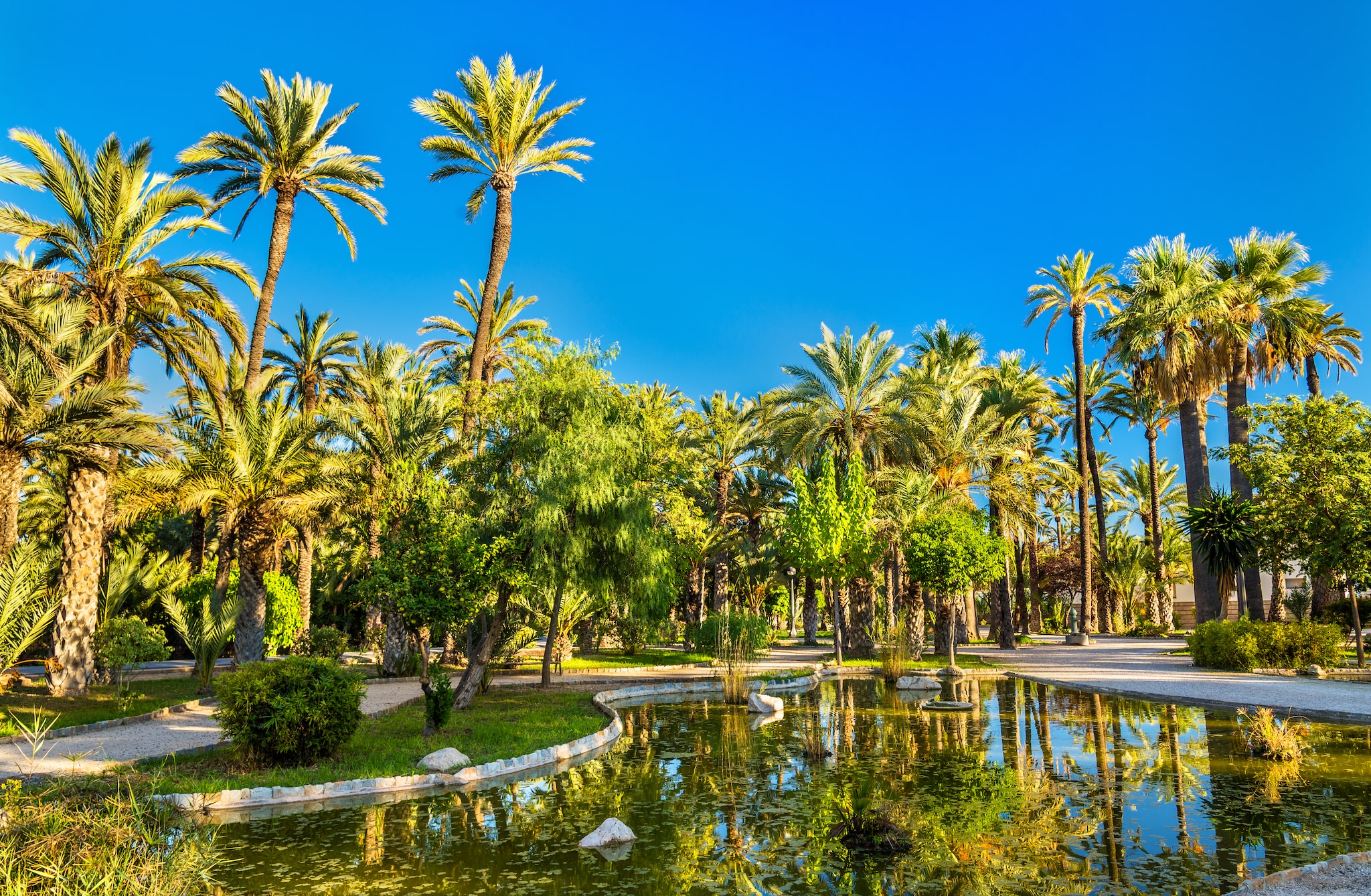 Discover Elche, A UNESCO World Heritage City