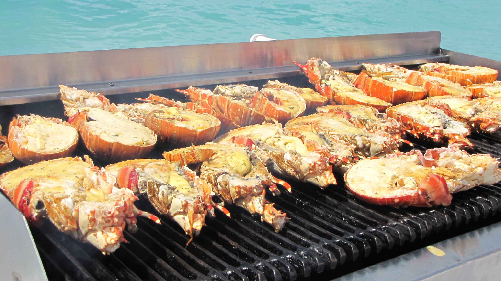 Sunset Cruise & Lobster Dinner