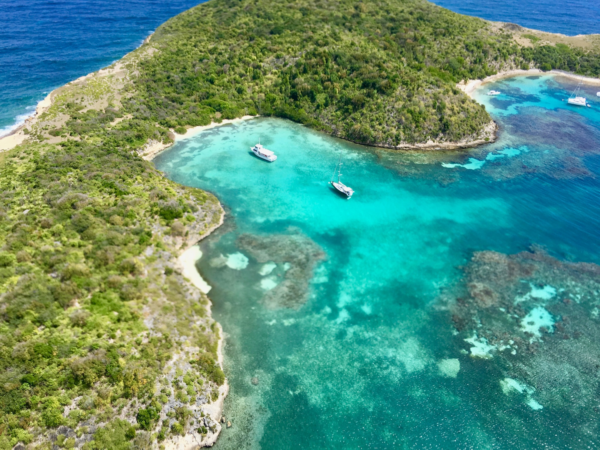 Great Bird Island Eco Tour