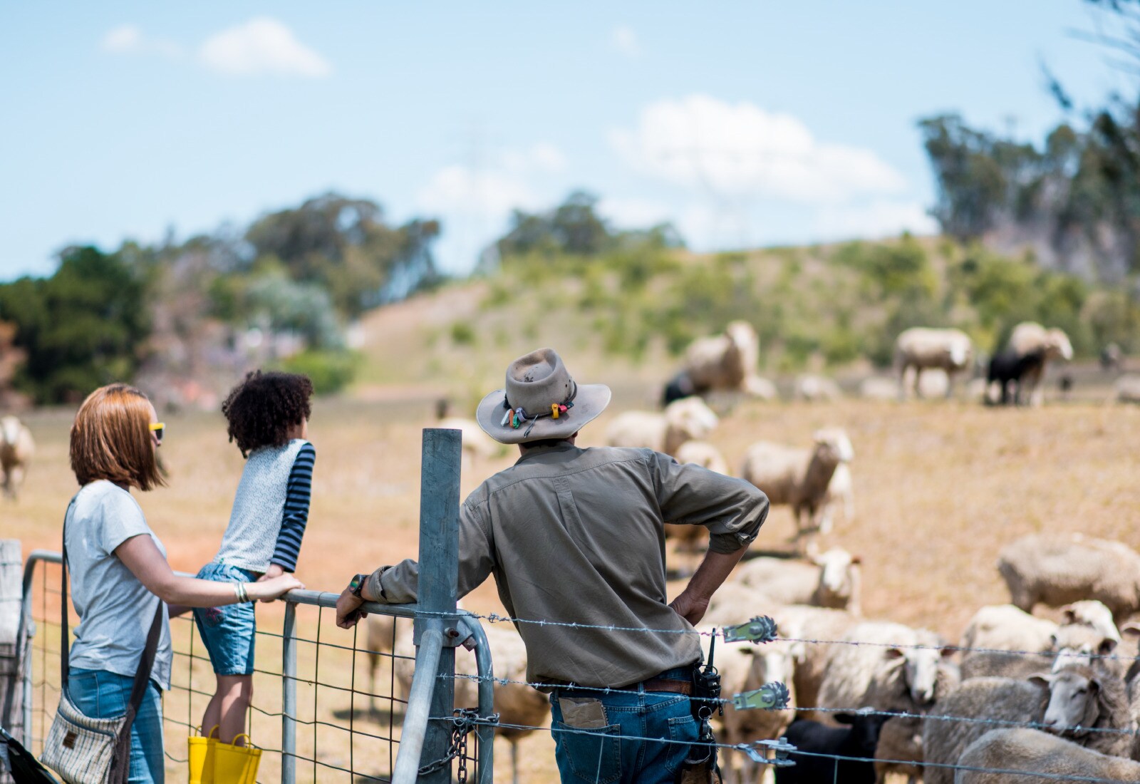 Farm-To-Table Experience At Peg Farm