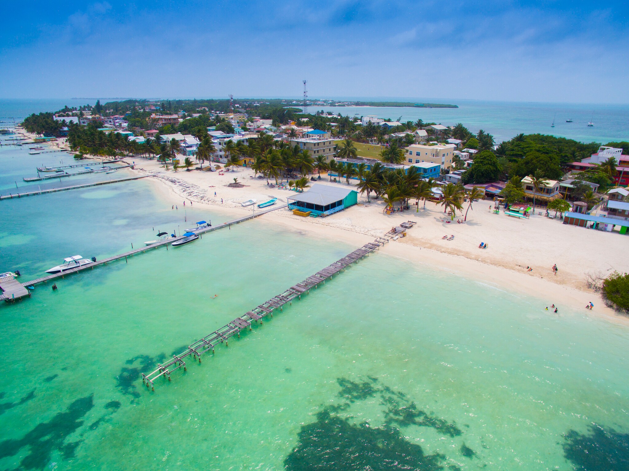 Sharks, Rays, Barrier Reef Snorkeling & Island Escape