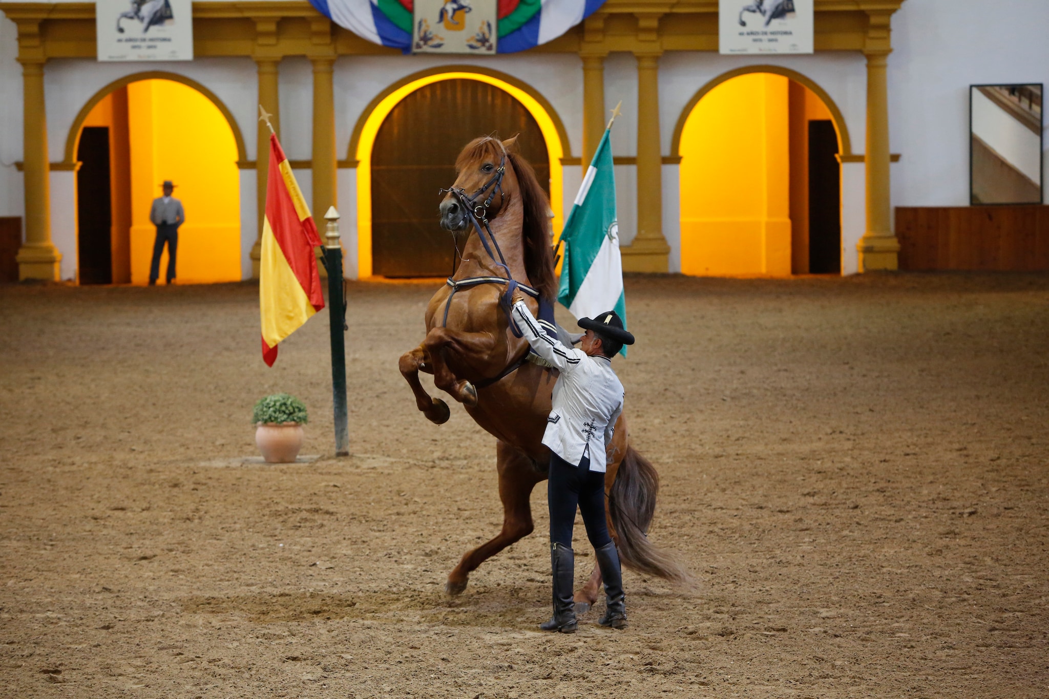 Sherry & Royal Horse Show