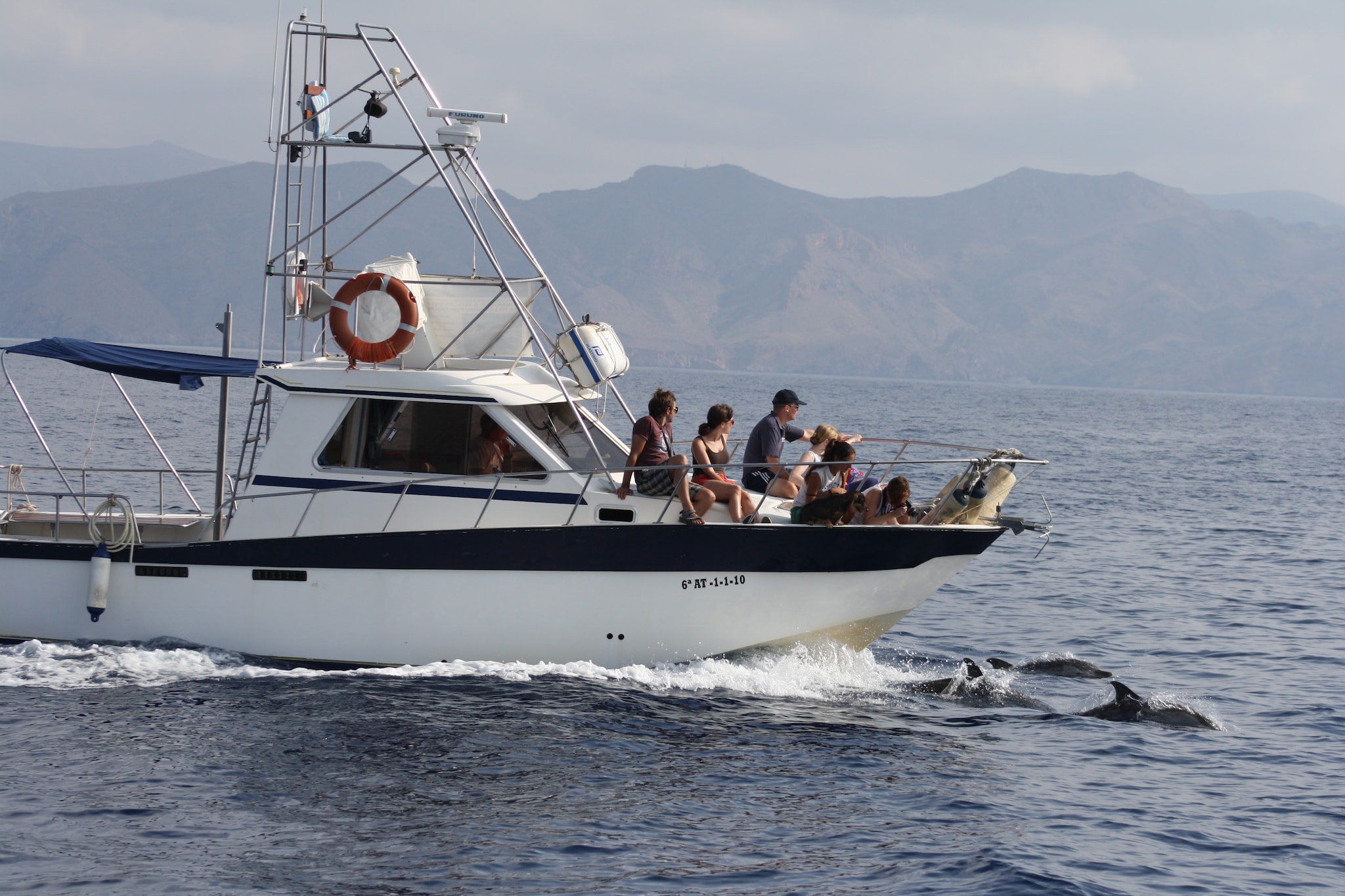 Mazarron Dolphin Watch