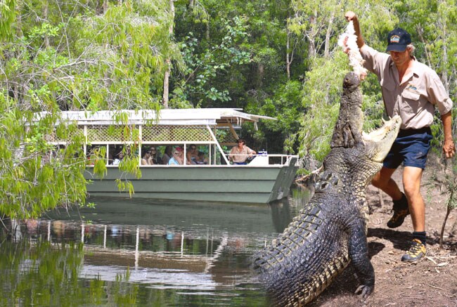 Hartley’s Crocodile Adventures