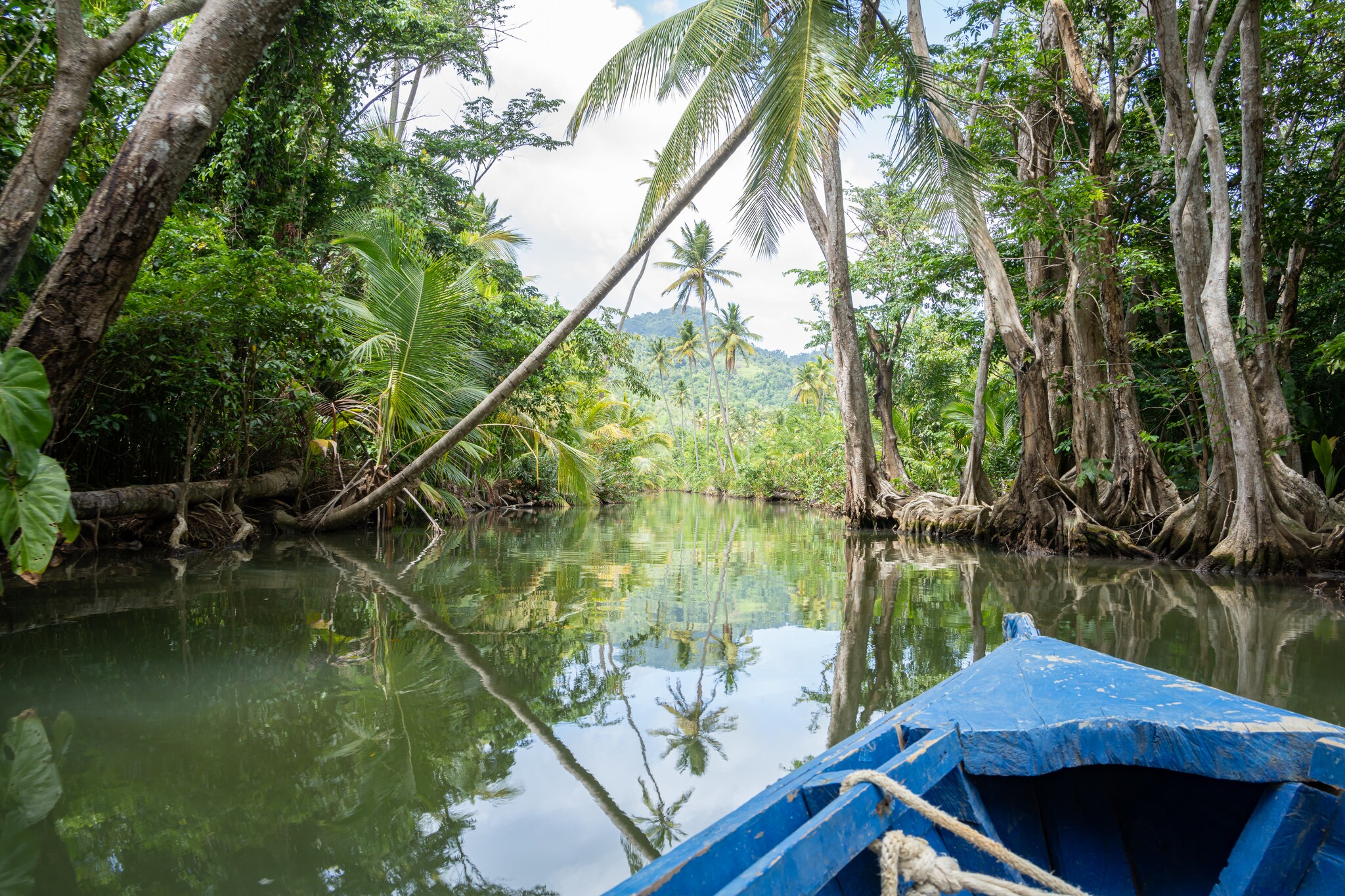 Indian River Rowboat