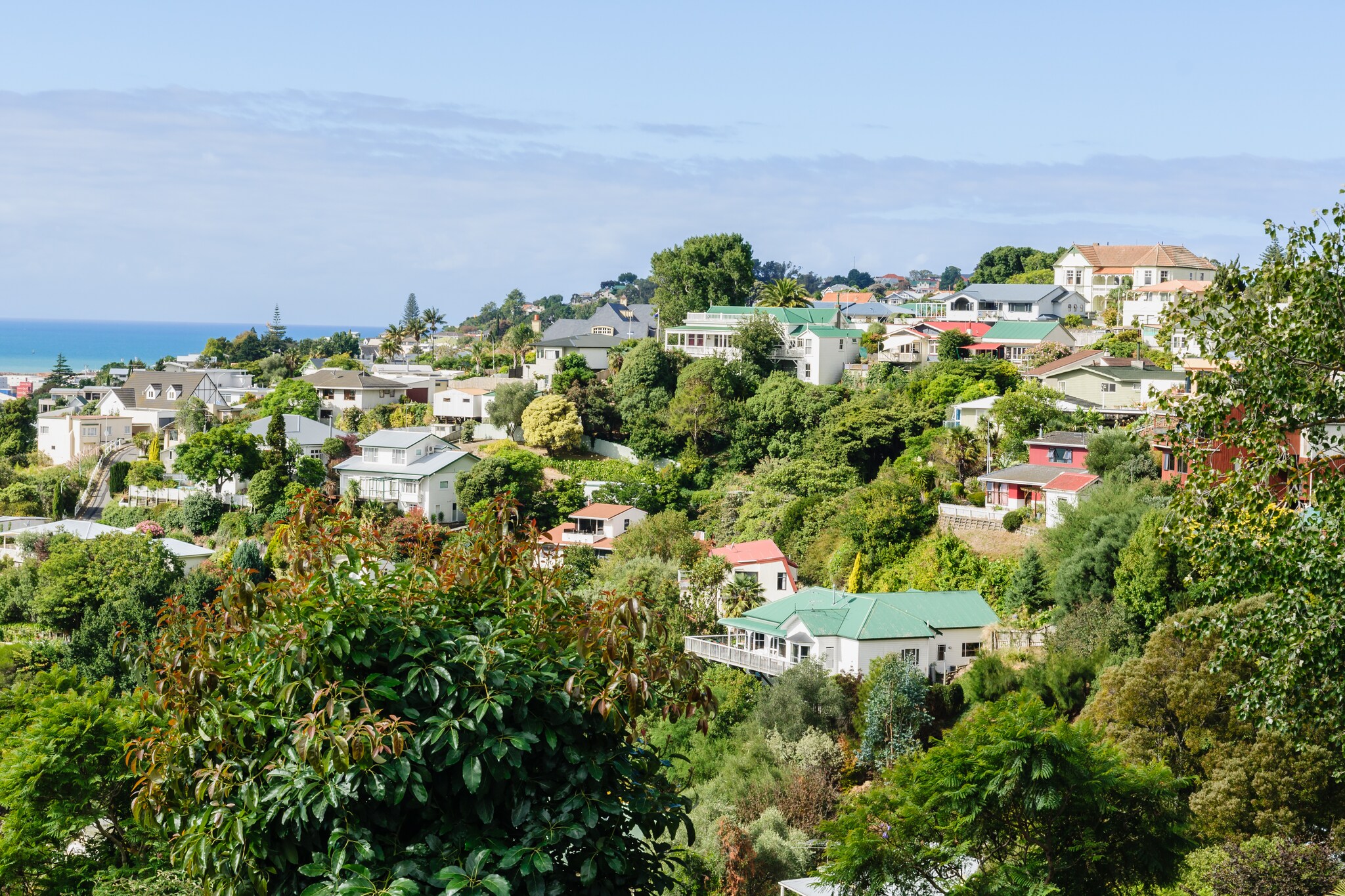 Napier Cruise Port, New Zealand 2026 | P&O Cruises
