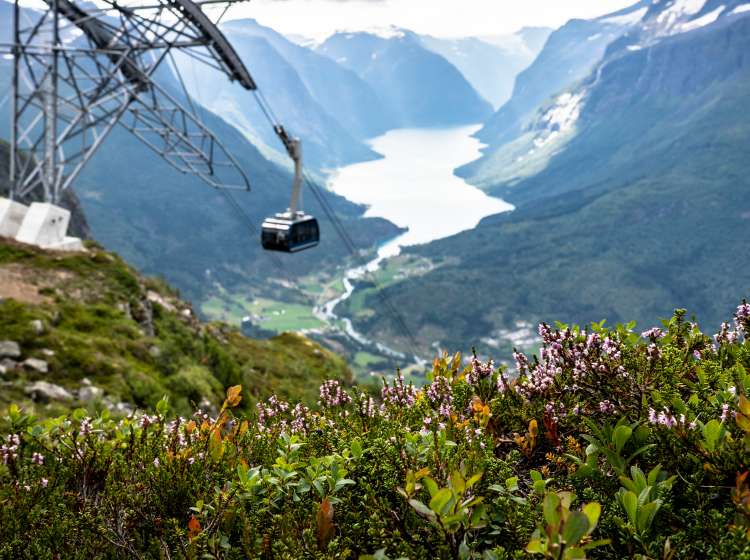 Hoven Cable Car with Coffee and Cake