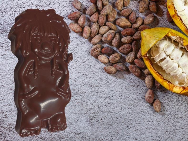 Tasty Troll Chocolate Experience