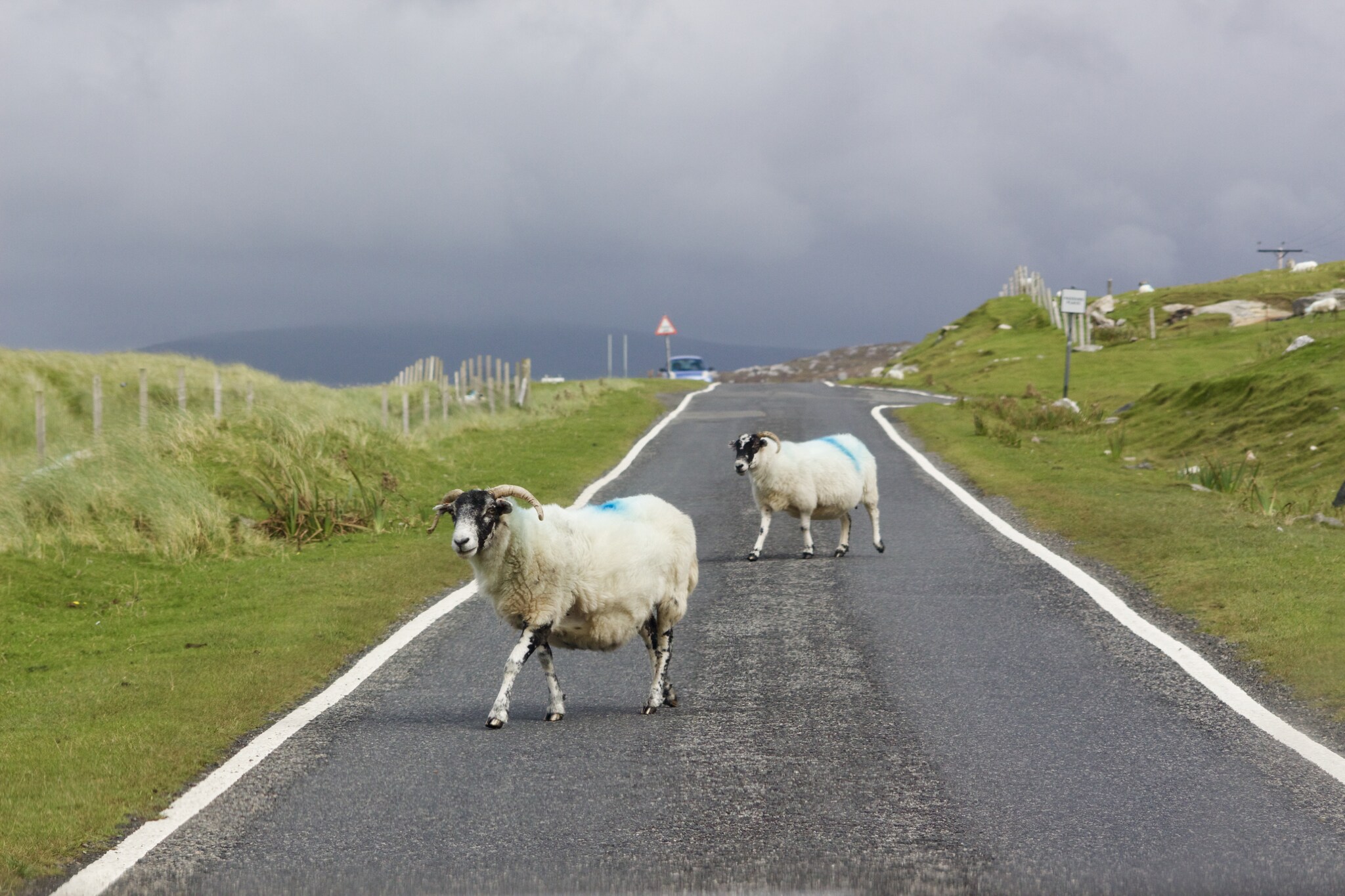 The Life of a Highland Crofter