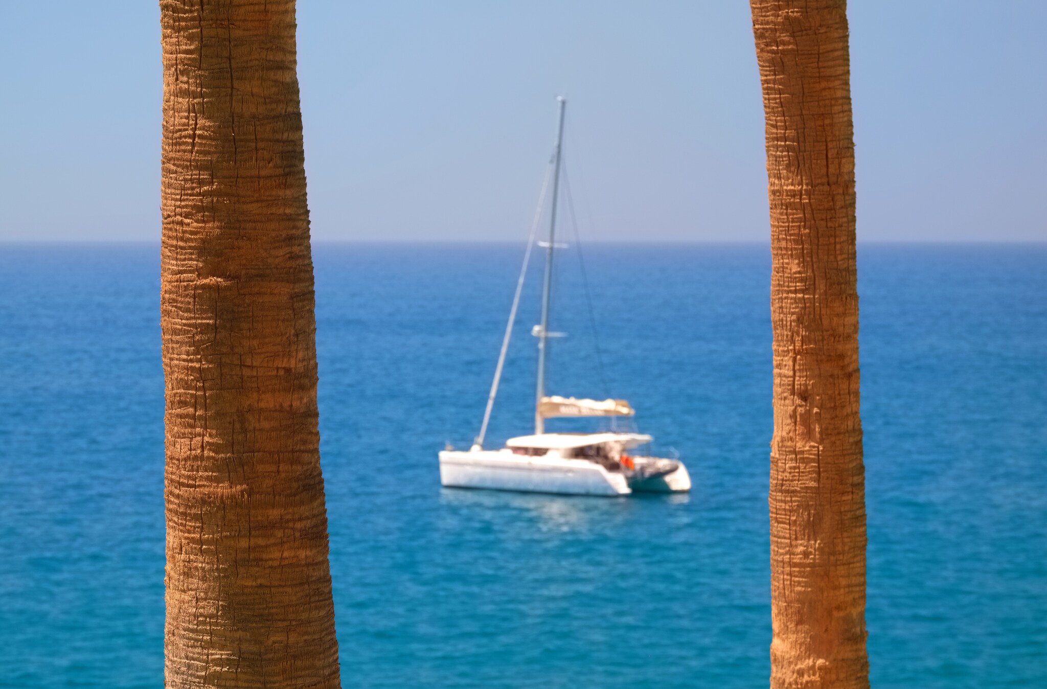 Luxury Catamaran Sailing