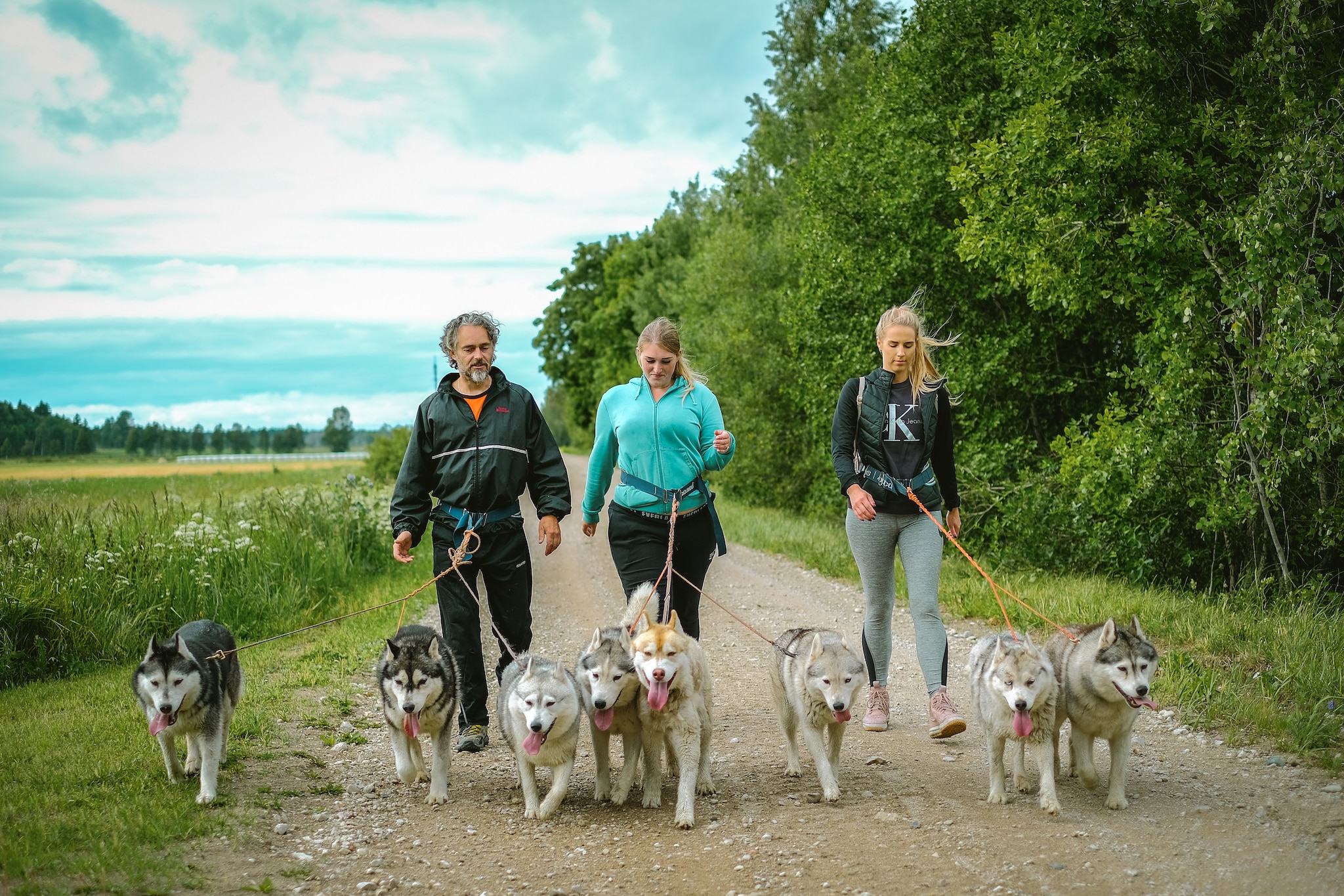 Siberian Husky Hike