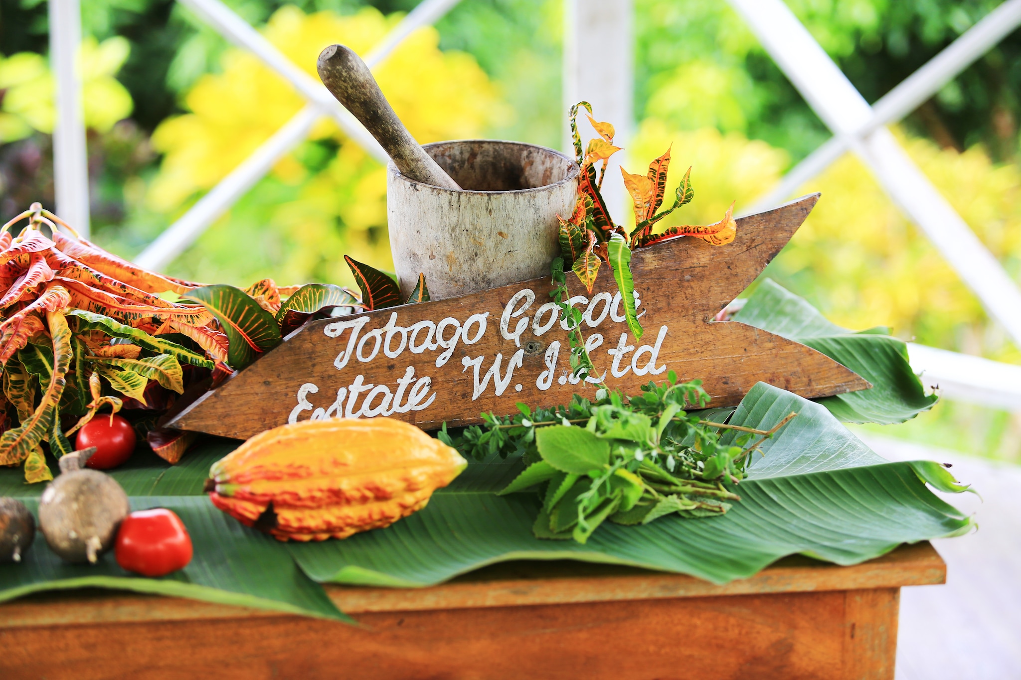 Cocoa Discovery and Fort King George