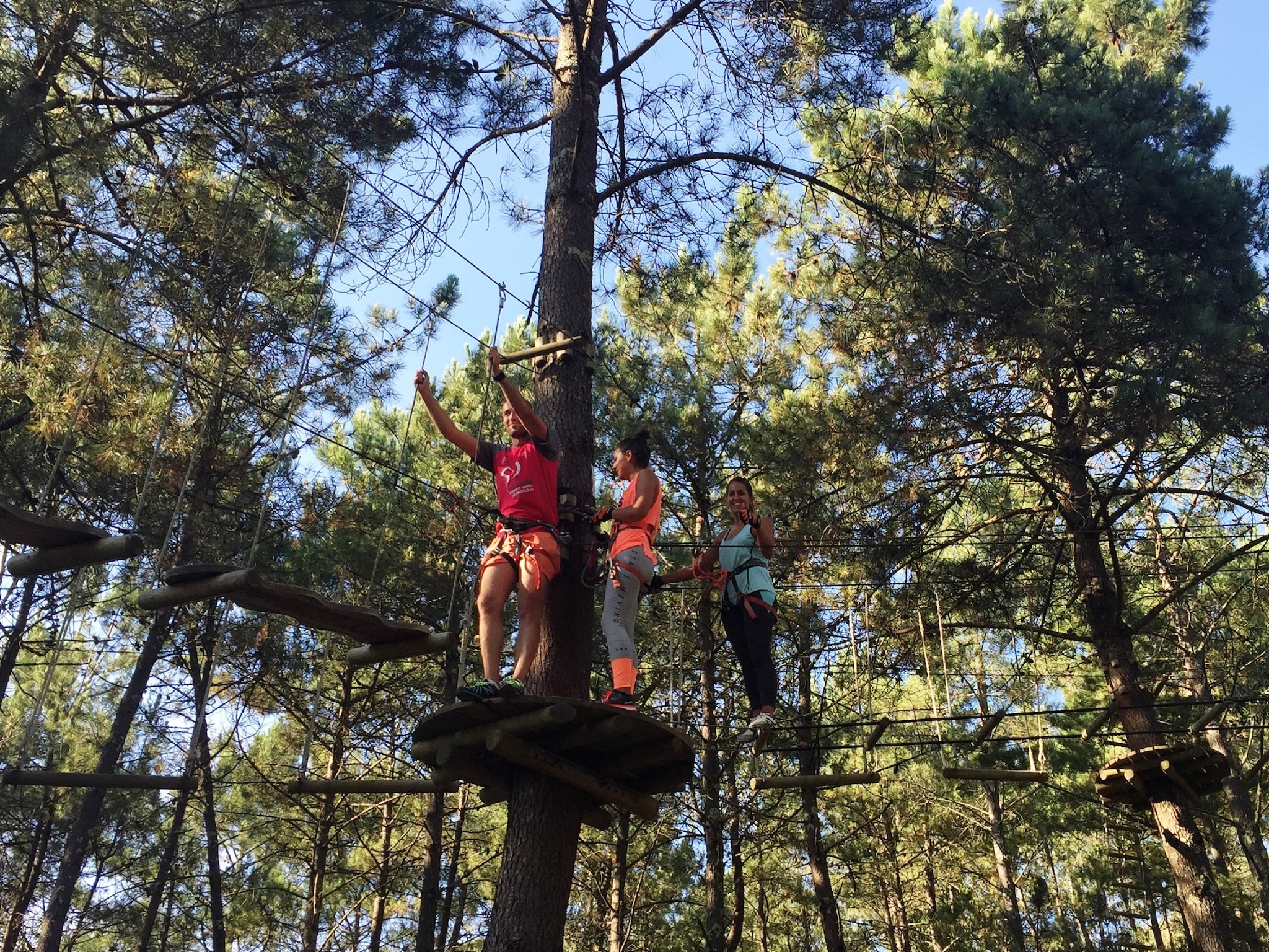 Tree-top Adventure