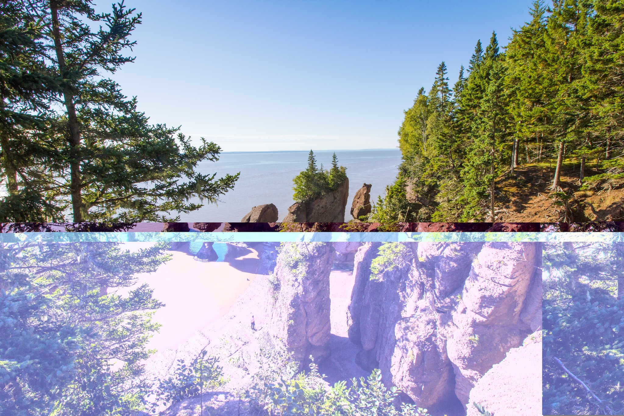 Hopewell Rocks Tidal Discovery