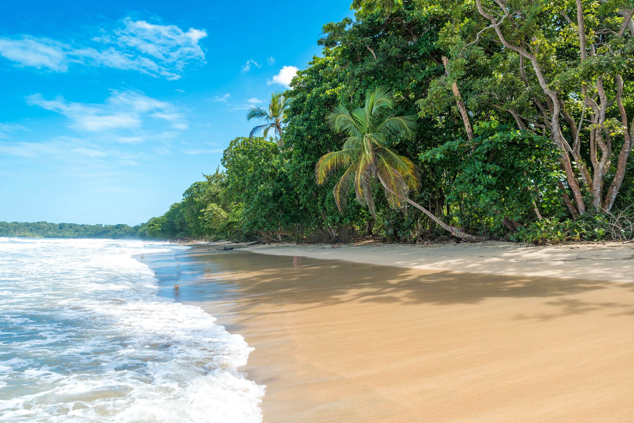 Cruises to Puerto Limon, Costa Rica 2027 | P&O Cruises Cruises to Puerto Limon, Costa Rica 2027 | P&O Cruises